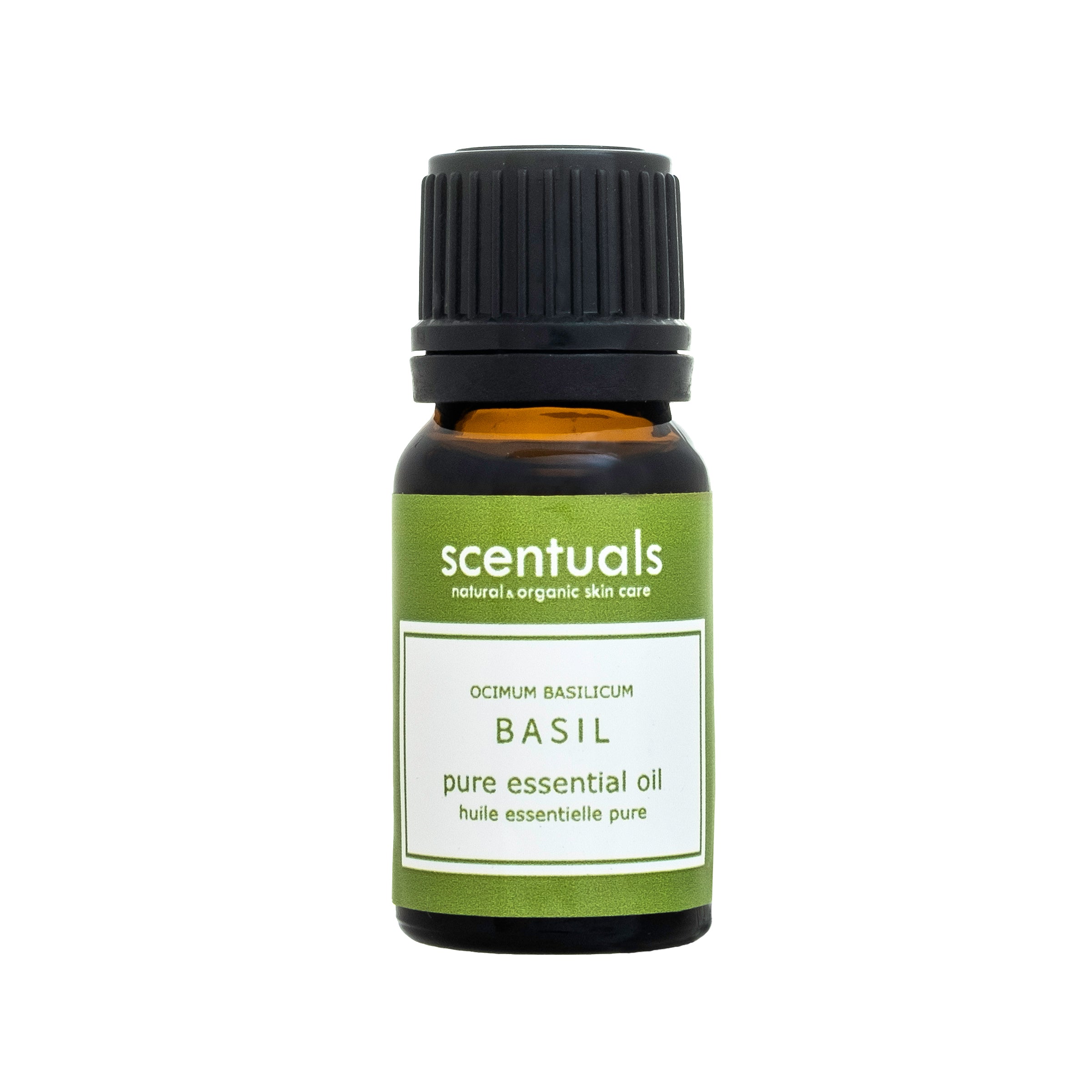 Sweet Basil Essential Oil – Tai Beauty Group Wholesale