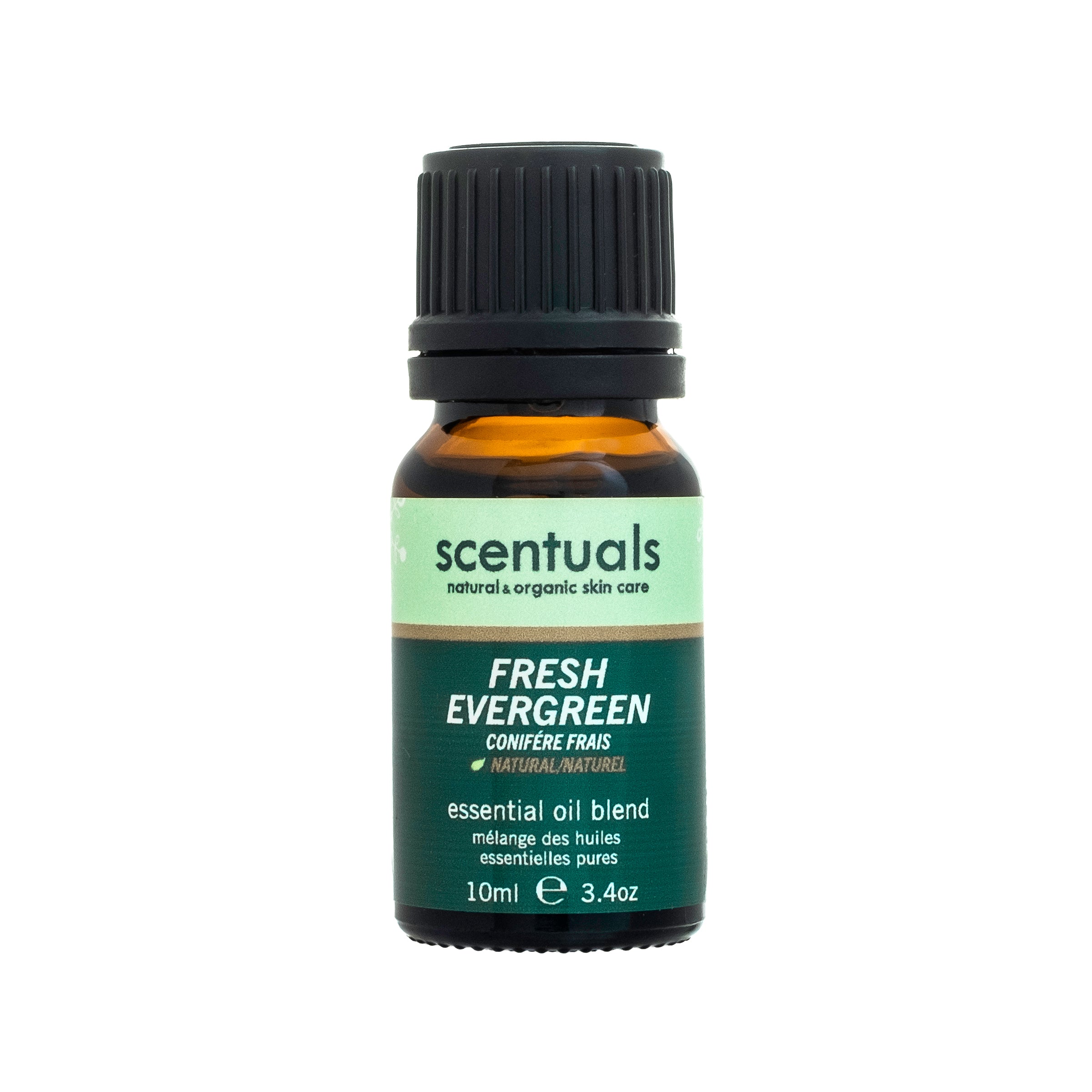 Fresh Evergreen Essential Oil Blend – Tai Beauty Group Wholesale