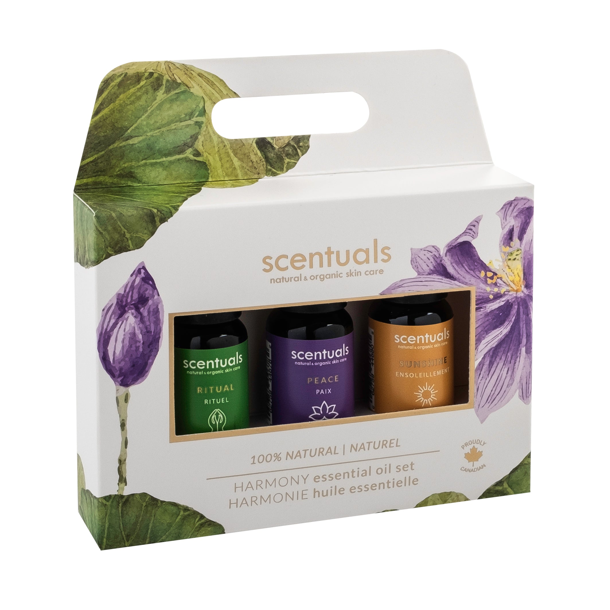Harmony Essential Set – Tai Beauty Group Wholesale